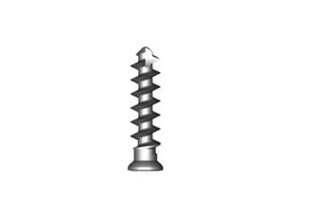 China A1 / A10 Artificial Joints Total Hip Metal Acetabular Screw Polishing Surface Treating for sale