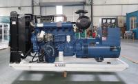 China 30kW-300kW Frequency 50Hz/60Hz Low Fuel Consumption ' Requirements and Demands for sale