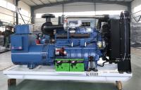 China High Power Generator Set Brushless for Industrial Applications for sale