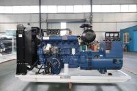 China High Power 30kW-300kw Rated Power and 5kVA-3000kVA Power Output Generator for Manufacturing Plants for sale