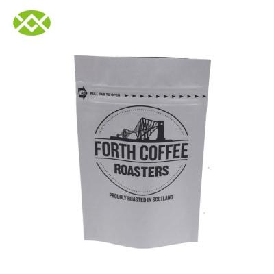 China Doypack Resealable Kraft Paper Bags , Aluminum Foil Brown Paper Packaging Bags for sale