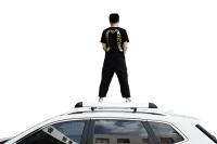 China Universal Cargo Roof Rack Carrier for Dodge Ram & Pickup Trucks - 800lb Capacity, 3MM Steel Construction for sale