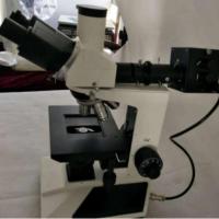 China UP-5030 Automatic Carbon Black Dispersion Tester with High-Definition Imaging for ISO 11345 Compliant Polymer Material Analysis for sale