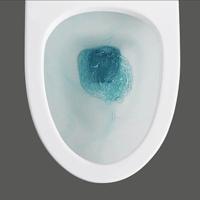 China S Trap Seamless Bathroom Toilets Bowl With Ada Height Design for sale