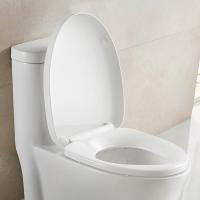 China American Standard Comfort Height White Bathroom Toilet With Powerful Dual Flush for sale