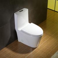 China Dual Flush Water Saver Titan Elongated Toilet American Cupc Standard for sale