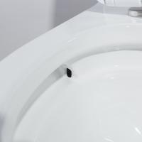 China Ceramic One Piece Toilet Self Cleaning Glazed Surface 1.6 Gpf Elongated Toilet for sale