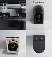 China Porcelain One Piece Seamless Wall Mounted Elongated Toilet Black Color for sale