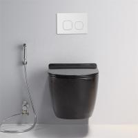 China Sleek And Seamless Skirted Elongated Toilet Wall Mount Water Closet for sale