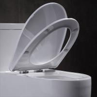 China Ada American Standard Floor Mounted Toilet One Piece Water Closet MAP 800G for sale