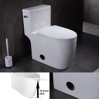 China Ada American Standard Floor Mounted Toilet One Piece Water Closet MAP 800G for sale