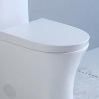 China 1-Piece 1.1 Gpf/1.6 Gpf High Efficiency Dual Flush Elongated All-In-One Toilet In White for sale