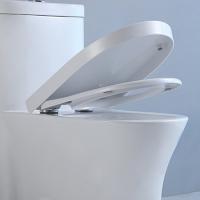 China 1-Piece 1.1 Gpf/1.6 Gpf High Efficiency Dual Flush Elongated All-In-One Toilet In White for sale