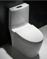 China 12 Inch Rough In Round Siphonic Dual Flush Toilet Bowls S Trap Water Closet for sale