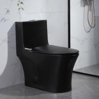 China Iapmo Bathrooms Toilets Matte Black 1 Piece Dual Flush Toilet Elongated Siphonic Ceramic for sale