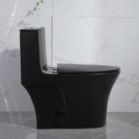China Iapmo Bathrooms Toilets Matte Black 1 Piece Dual Flush Toilet Elongated Siphonic Ceramic for sale