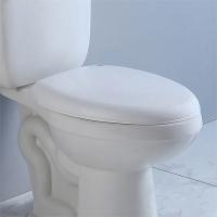 China Cupc American Standard Two Piece Toilet Elongated Bowl 2 Piece Wc Flush Valve for sale
