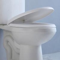 China Cupc American Standard Two Piece Toilet Elongated Bowl 2 Piece Wc Flush Valve for sale