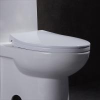 China 10 Inch Rough In One Piece Elongated Toilet 1 Piece Comfort Height Toilet for sale