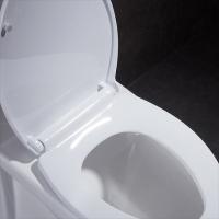 China 10 Inch Rough In One Piece Elongated Toilet 1 Piece Comfort Height Toilet for sale