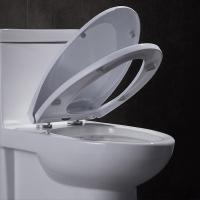 China 10 Inch Rough In One Piece Elongated Toilet 1 Piece Comfort Height Toilet for sale