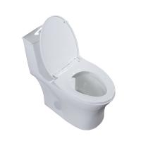 China American Standard 1 Piece Skirted Toilet With Top Flush Button 12