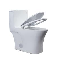 China American Standard 1 Piece Skirted Toilet With Top Flush Button 12