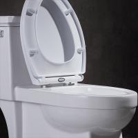 China One Piece Elongated Skirted Toilet 1.6 Gpf Siphonic Flushing Toilet White for sale