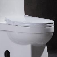 China One Piece Elongated Skirted Toilet 1.6 Gpf Siphonic Flushing Toilet White for sale
