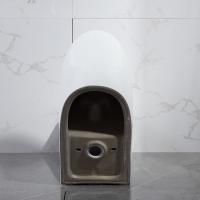 China Glazed Ceramic Siphonic Dual Flush One Piece Toilet 12 Inch Rough In for sale
