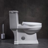 China 1.28gpf 4.8lpf Dual Flush single piece toilet bidet for sale