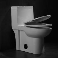 China Ada One Piece Toilet Single Flush Siphonic Close Coupled Sanitary Ware for sale