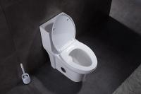 China American Standard Cosette Dual Flush Elongated One Piece Toilet In White 1.28 Gpf for sale