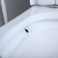 China Siphonic Round American Standard One Piece Dual Flush Toilet Elongated Bowl for sale