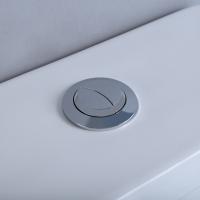 China Siphonic Round American Standard One Piece Dual Flush Toilet Elongated Bowl for sale
