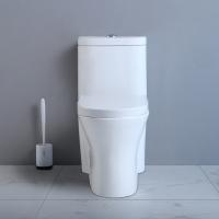 China Siphonic Round American Standard One Piece Dual Flush Toilet Elongated Bowl for sale