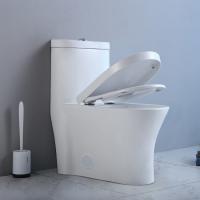 China Siphonic Round American Standard One Piece Dual Flush Toilet Elongated Bowl for sale