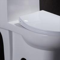 China 10 Inch Rough In Ada Comfort Height Toilet For Disabled Rv With Power Flush for sale