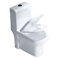 China 19 Inch Tall Elongated One Piece Floor Mounted Toilet 15 Inch for sale