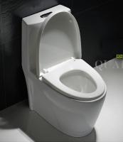 China Map1000 Dual-Flush Elongated One-Piece Toilet Seat Included Small Bathroom for sale