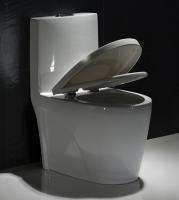 China One Piece Round Toilet Dual Flush Single Piece Commode Flush Tank 12 Rough In for sale