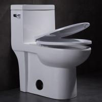 China Dual Flush Elongated One Piece Toilet With Soft Closing Seat 1.28gpf/4.8lpf for sale
