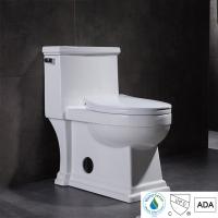China Ceramic Ada One Piece Skirted Toilet Washroom Water Closet Compact Elongated for sale