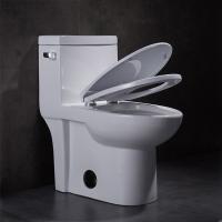 China American Standard One Piece Skirted Toilet Syphon Flush Valve 0.8 GPF for sale