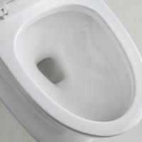 China 10 Inch Rough In One Piece Elongated Toilet S Trap Floor Mounted Wc Siphonic for sale