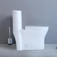 China Commercial Ada Bathrooms Toilets For Physically Handicapped Challenged Person for sale