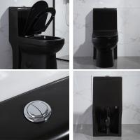 China Elongated Matt Black Dual Flush One Piece Toilet 1.6 Gpf Cupc Ceramic Round for sale