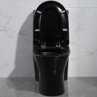 China Ada Dual Flush One Piece Toilet With Side Flush 0.8/1.28 Gpf Hotel Wc 765MM for sale