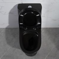 China Ada Dual Flush One Piece Toilet With Side Flush 0.8/1.28 Gpf Hotel Wc 765MM for sale