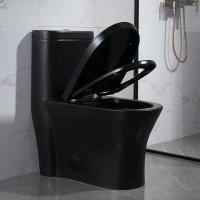 China Bidet Skirted Toilet American Standard Elongated Black Comfort Height for sale